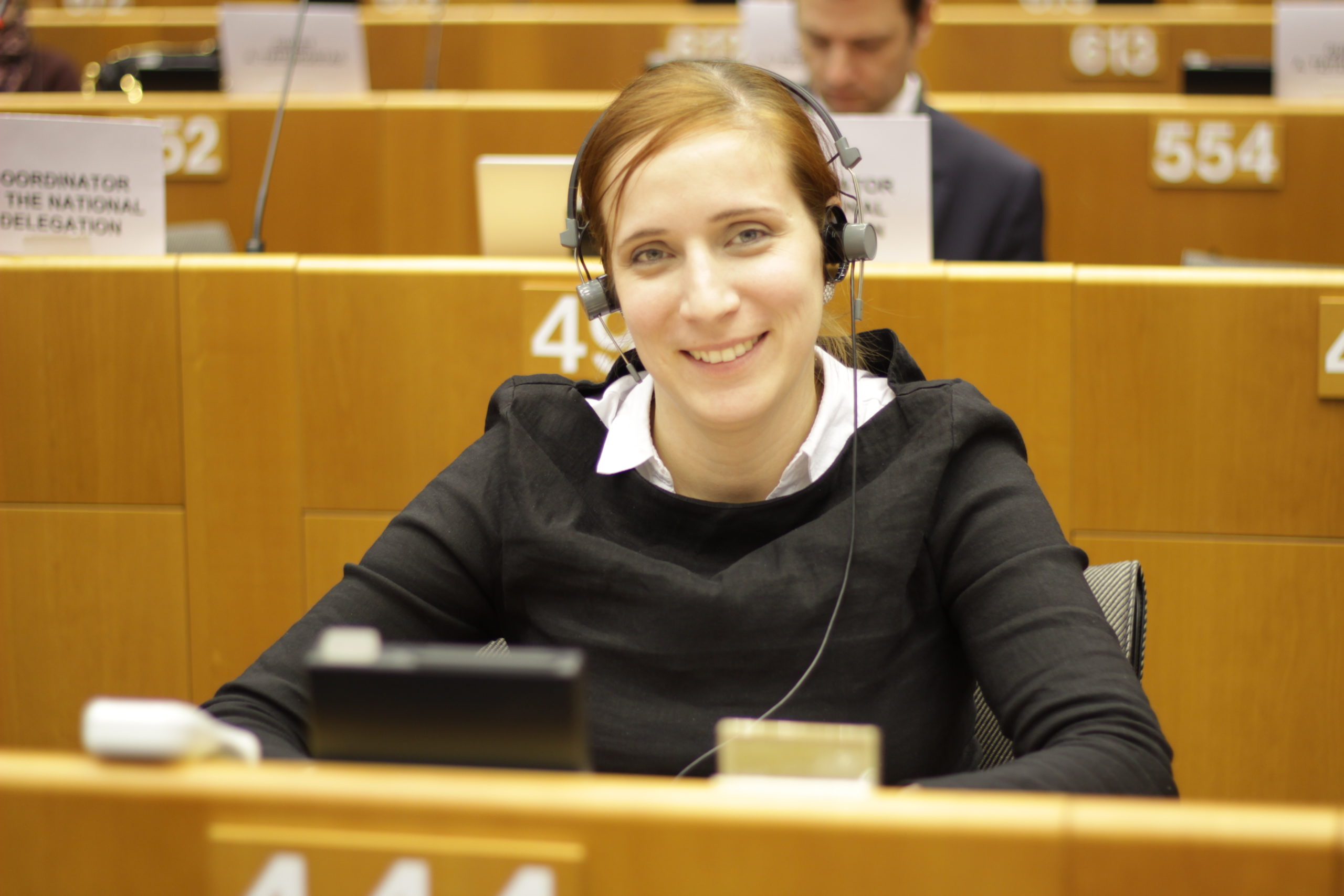 About - Renew Europe CoR